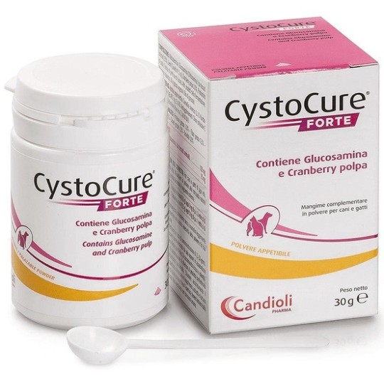 CANDIOLI CYSTOCURE FORTE POLVERE 30 GR in Offerta | Cocoricoshop.it